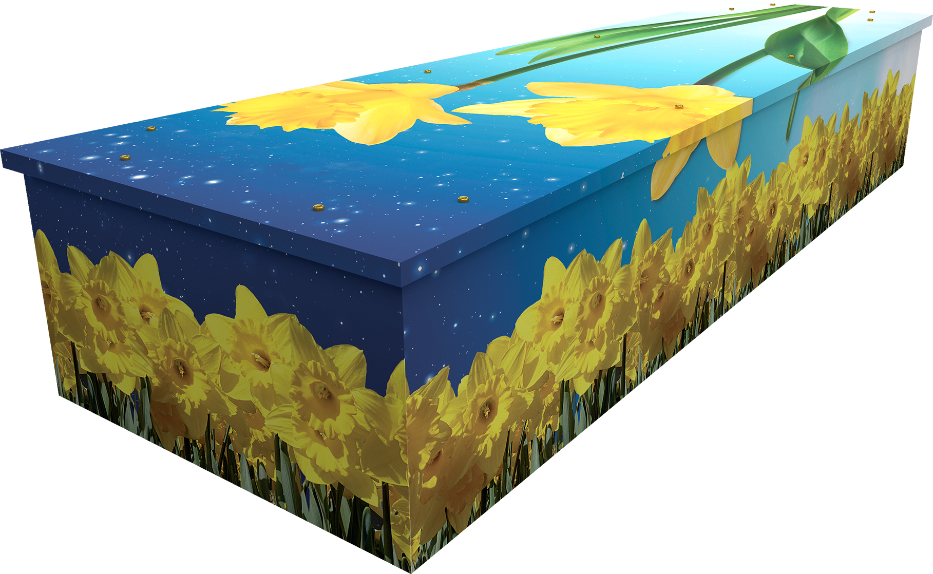 Daffodils Cardboard Coffin | Creative Coffins